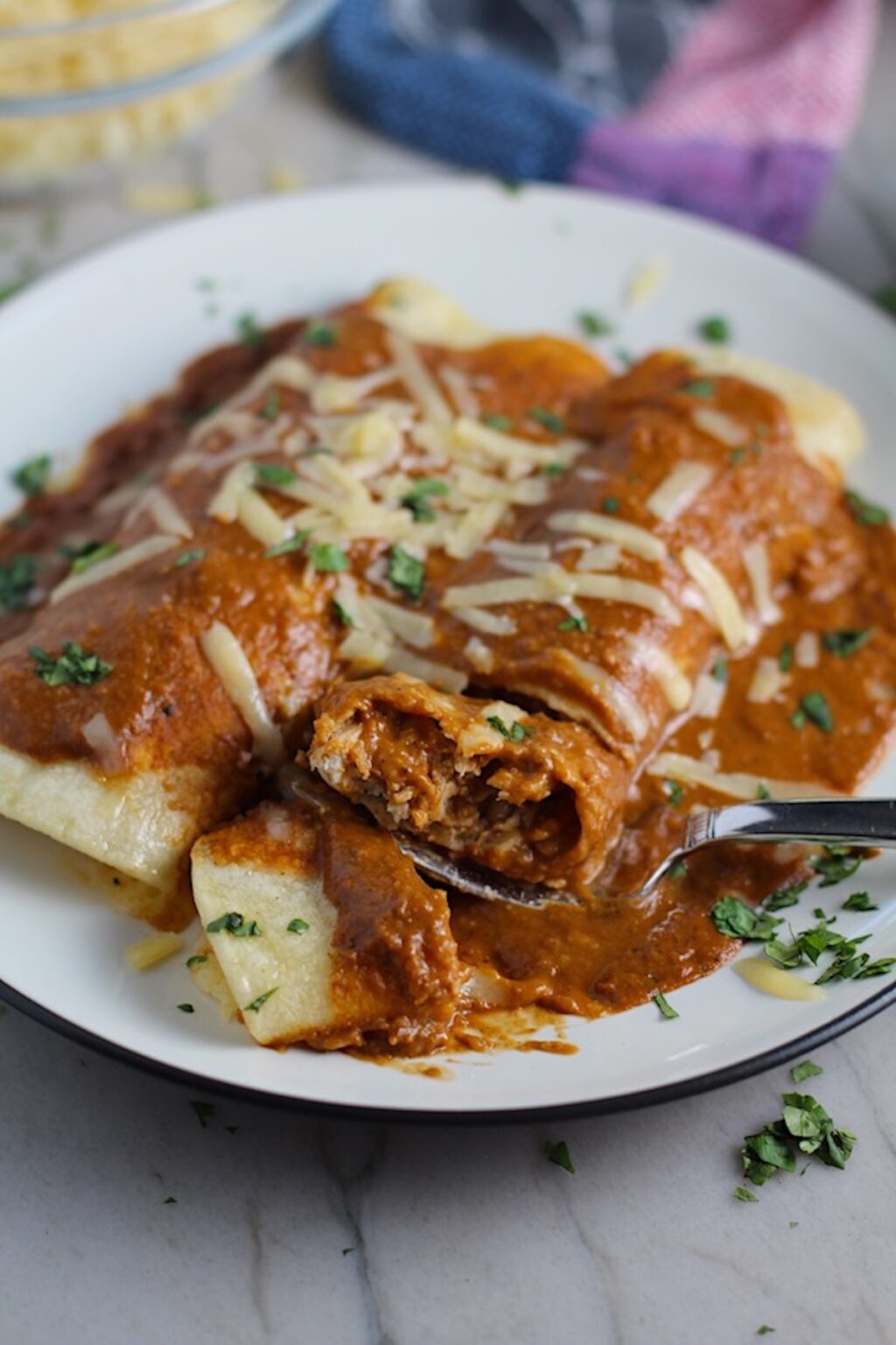 Easy Enmoladas ~ Chicken Mole Enchiladas Recipe - Talking Meals