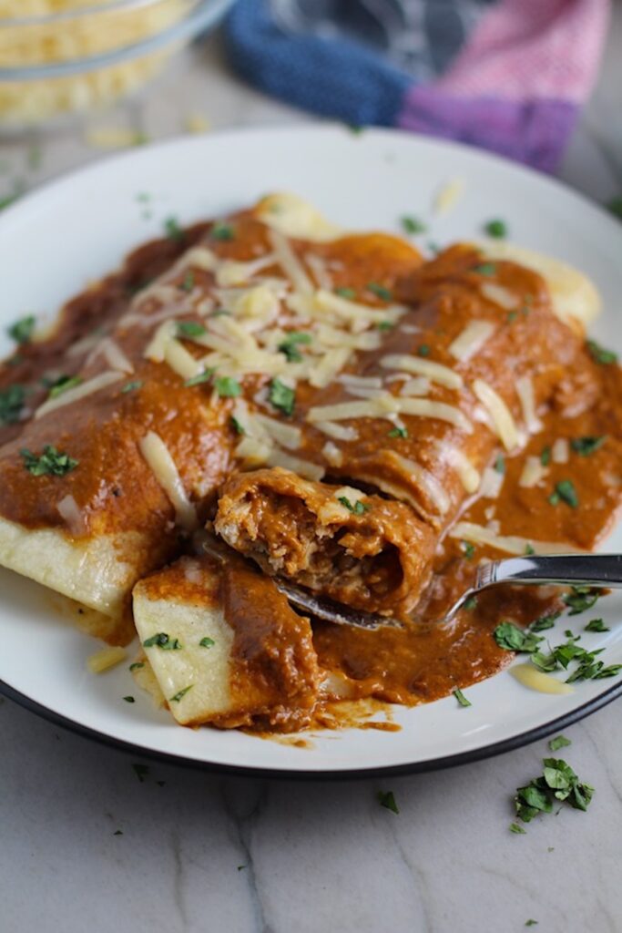 Easy Enmoladas ~ Chicken Mole Enchiladas Recipe - Talking Meals