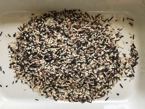 Chicken Wild Rice Casserole with Zucchini and Mushrooms - Talking Meals